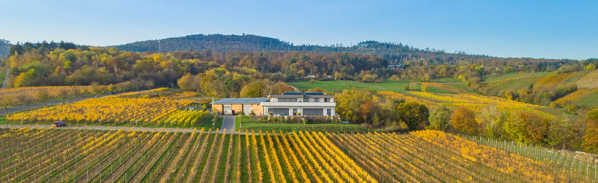 Weingut Kessler – Hallgarten – Rheingau